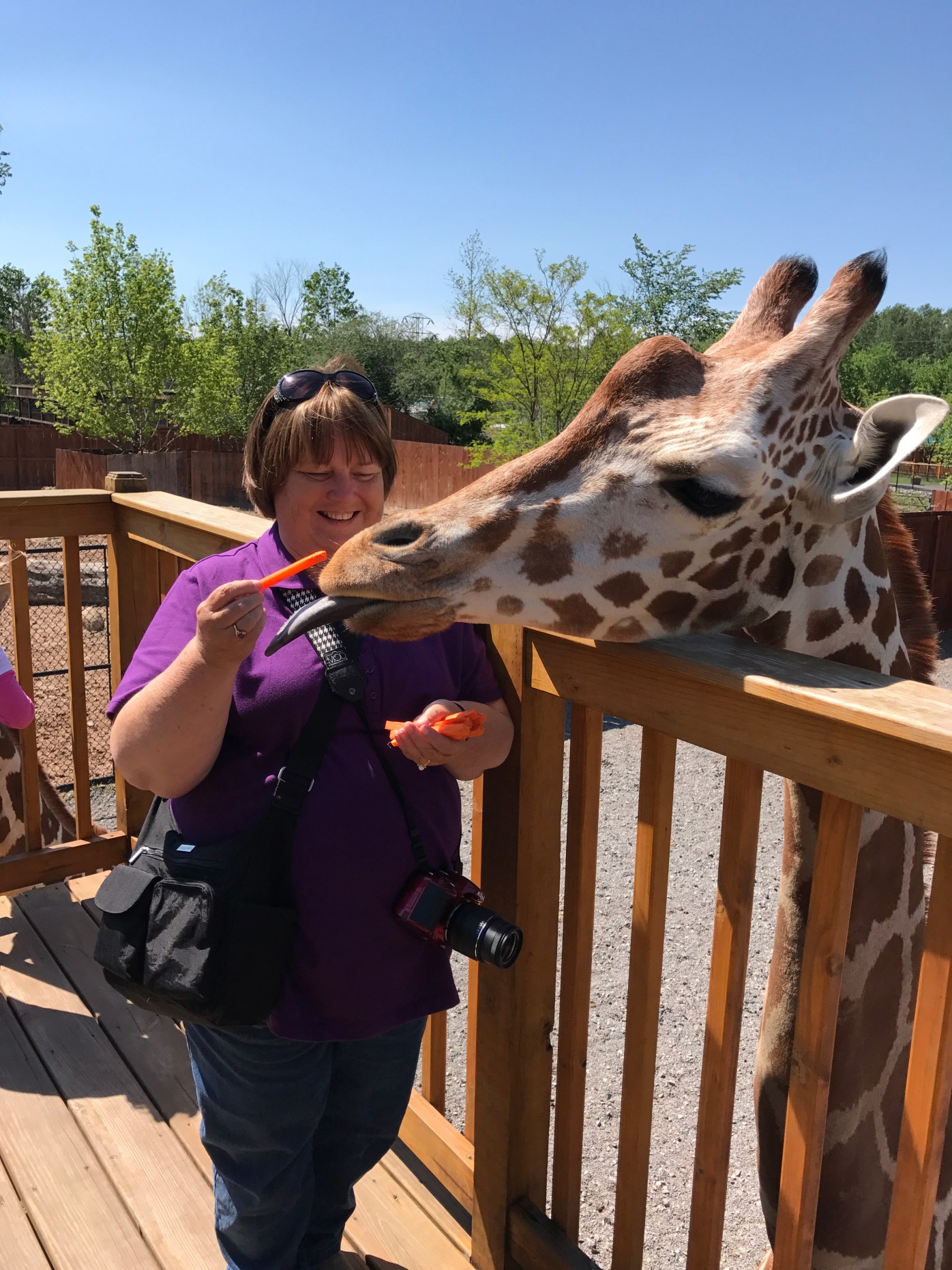 Wild Animal Park Adventure – June 2017 – Kim's Thoughts
