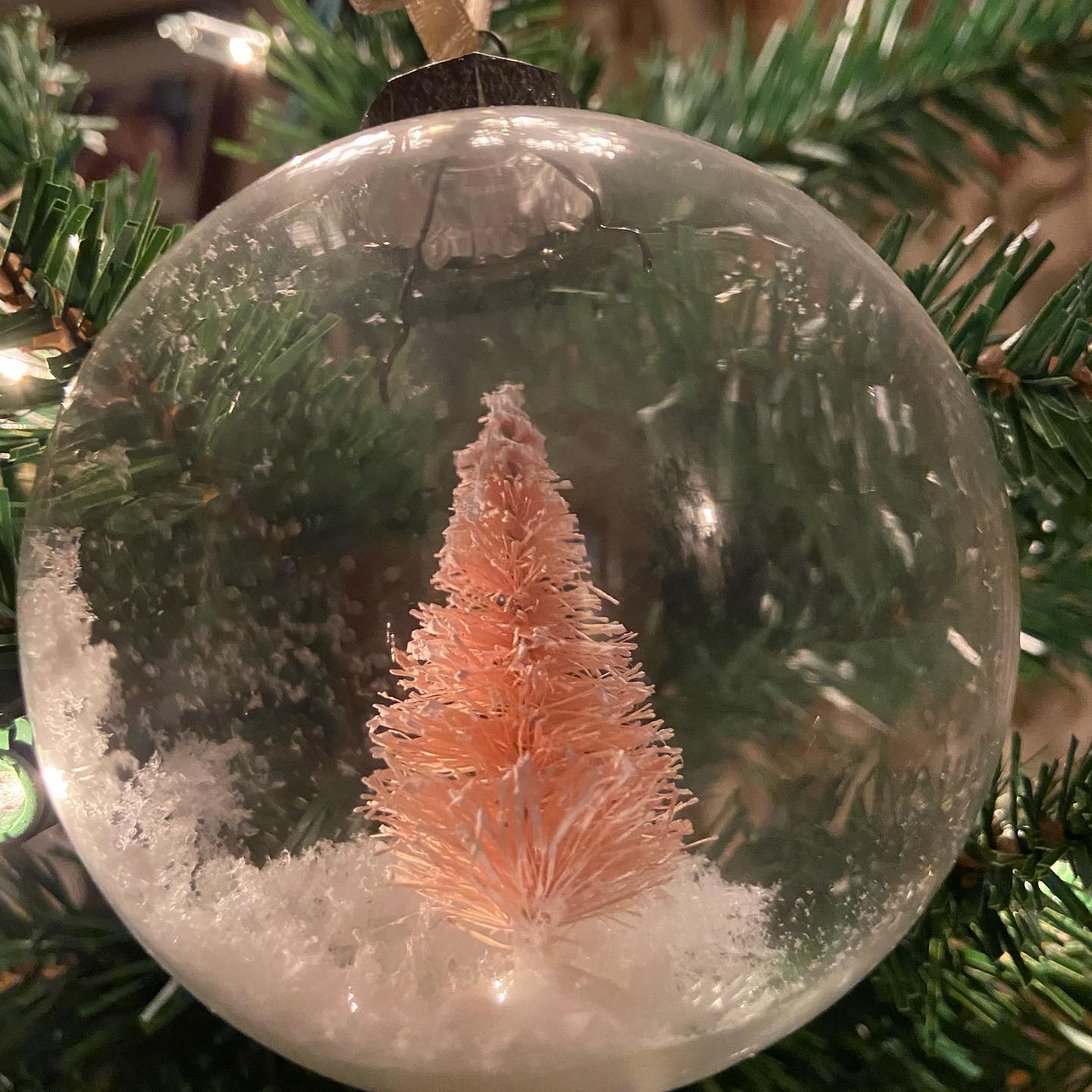 December Daily Photos – Week One – Kim's Thoughts