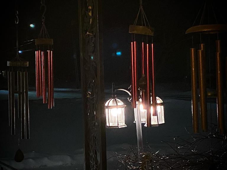 January Daily Photo Challenge – Kim's Thoughts